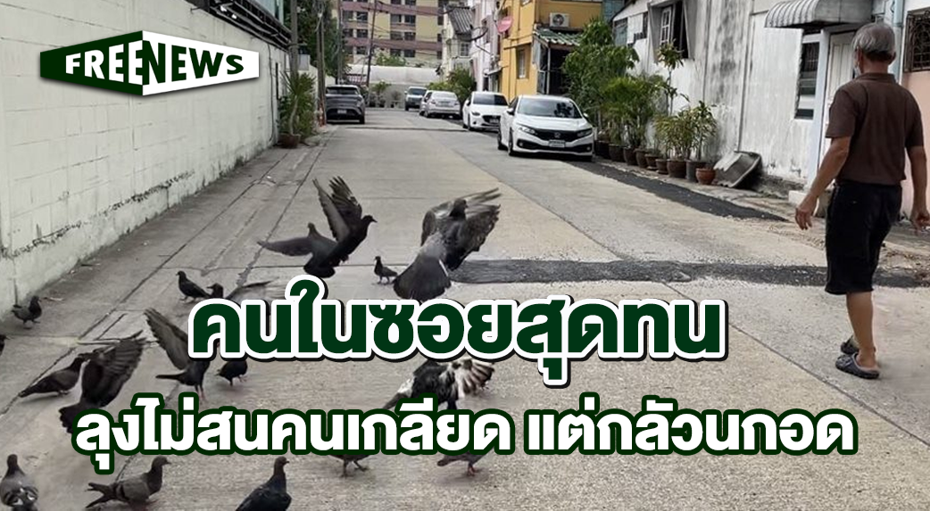 คนในซอยสุดทน ลุงให้อาหารนกฝูงใหญ่ 200 ตัว ไม่สนคนเกลียด แต่กลัวนกอด ...
